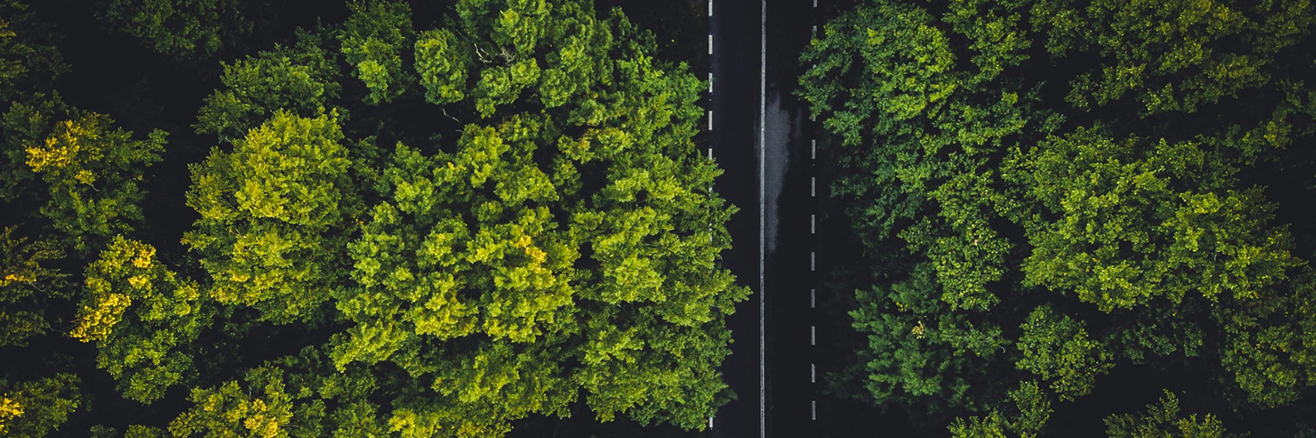 Home • Eco-Nomics